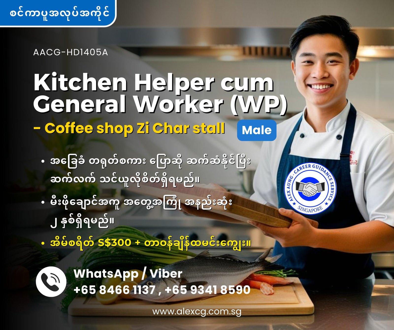 Kitchen Helper cum General Worker (WP) – Alex Aung - Career Guidance ...
