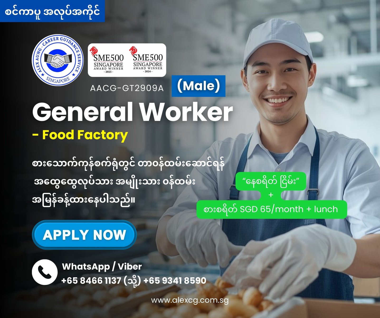 Food Factory General Worker – Alex Aung - Career Guidance Service