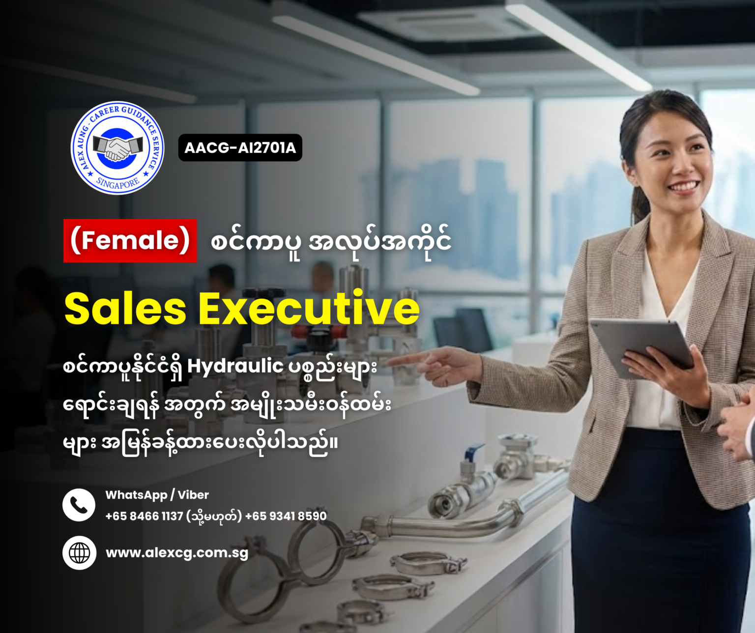 Sales Executive – Alex Aung - Career Guidance Service